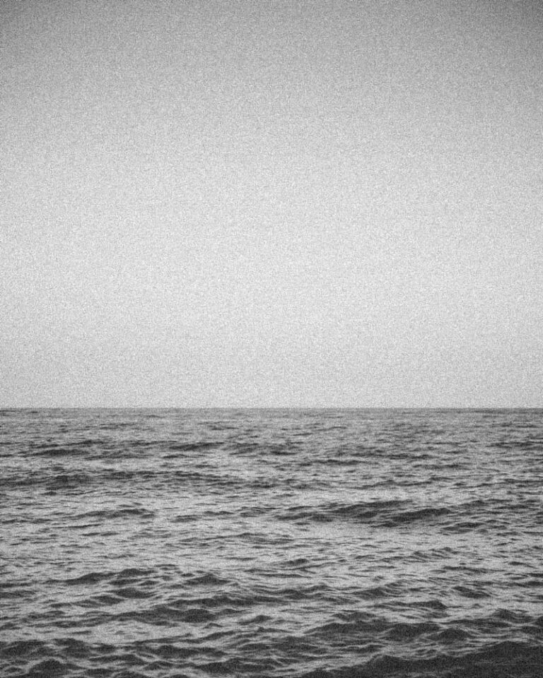 The Cora Tree | Outer Banks Blog | Resort Realty OBX