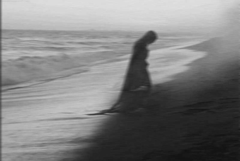 The Cora Tree | Outer Banks Blog | Resort Realty OBX